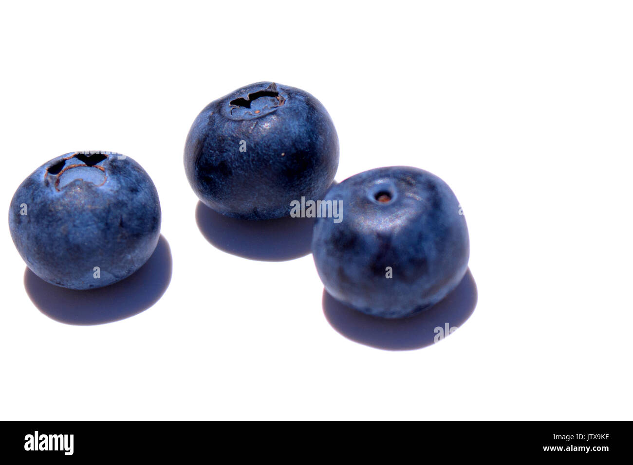 Blueberry. Close-up view of fresh Blueberries isolated on white ...