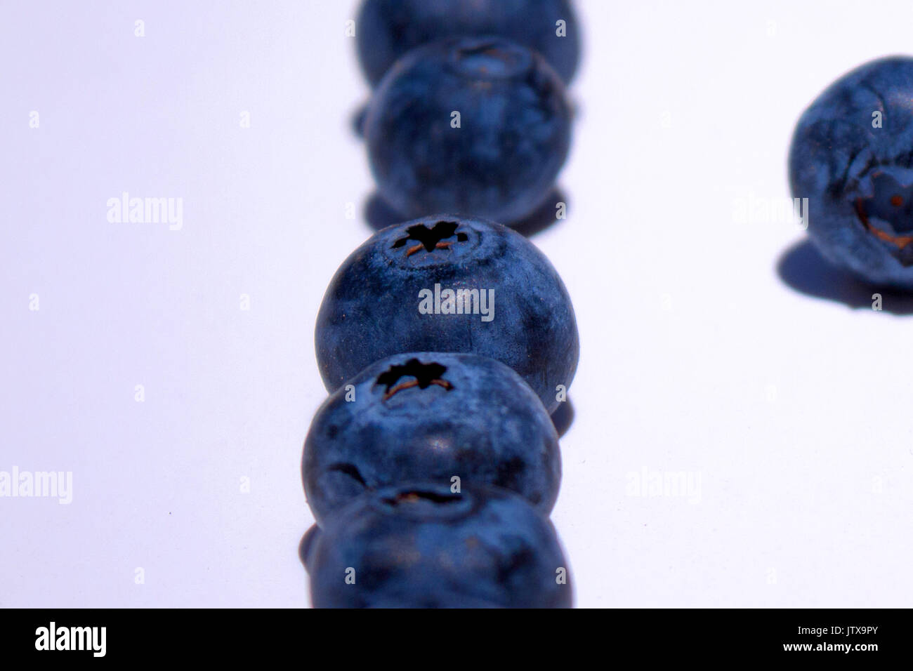 Blueberry. Close-up view of fresh Blueberries isolated on white ...