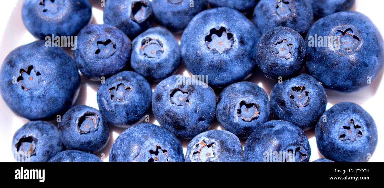 Blueberry. Close-up view of fresh Blueberries isolated on white ...