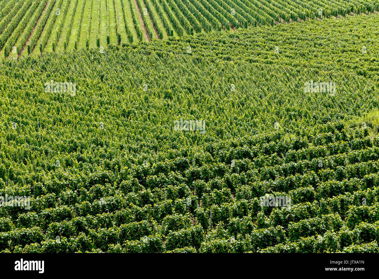 Loess plateau terrace hi-res stock photography and images - Alamy