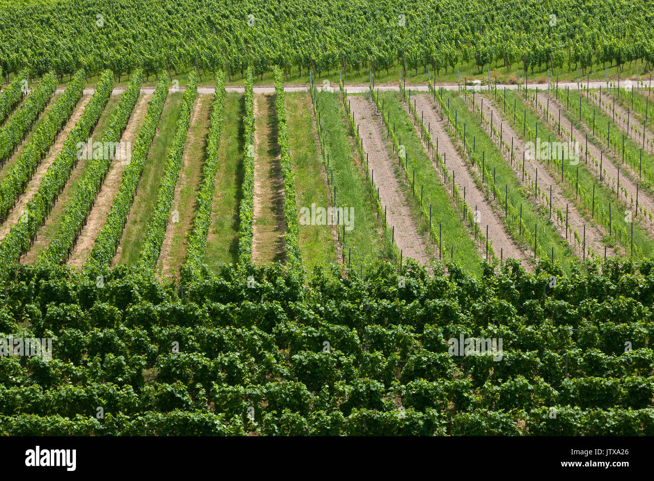Loess plateau terrace hi-res stock photography and images - Alamy