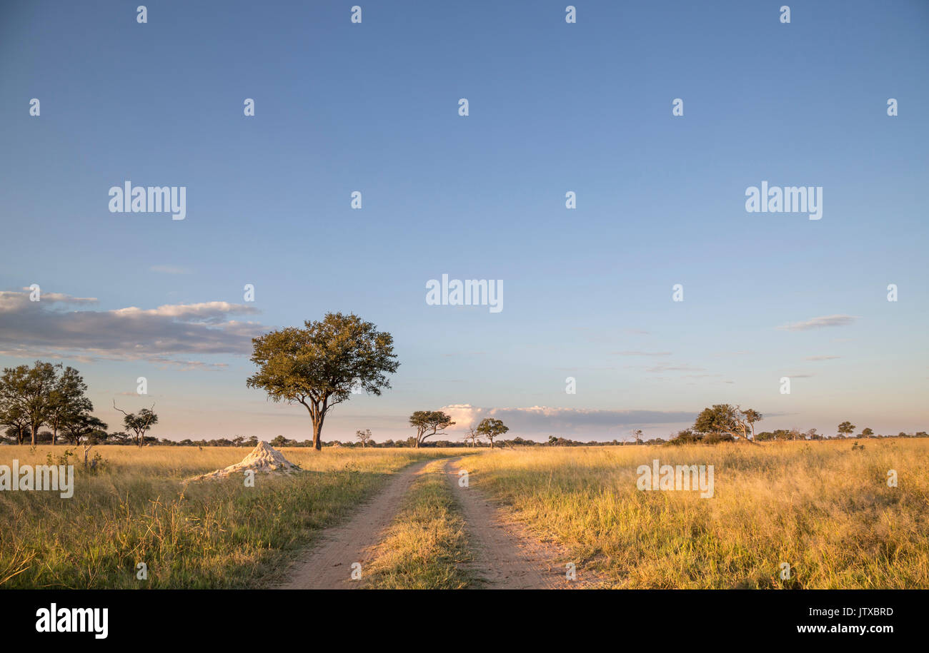 Two-track road heaing into the distance on a large open grassland area ...