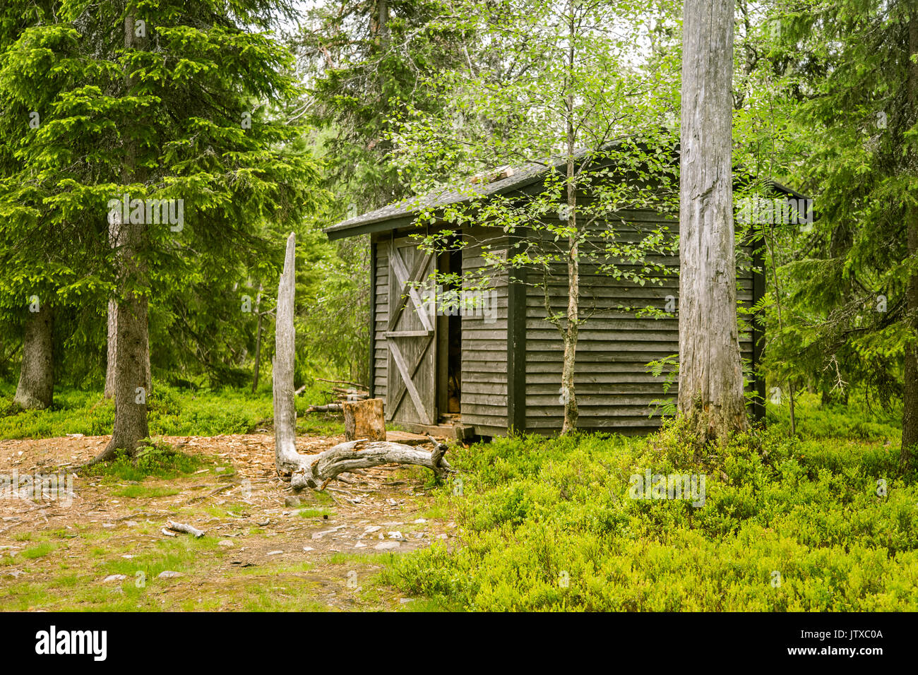 A beautiful small wooden building in the middle of Finnish forest Stock ...