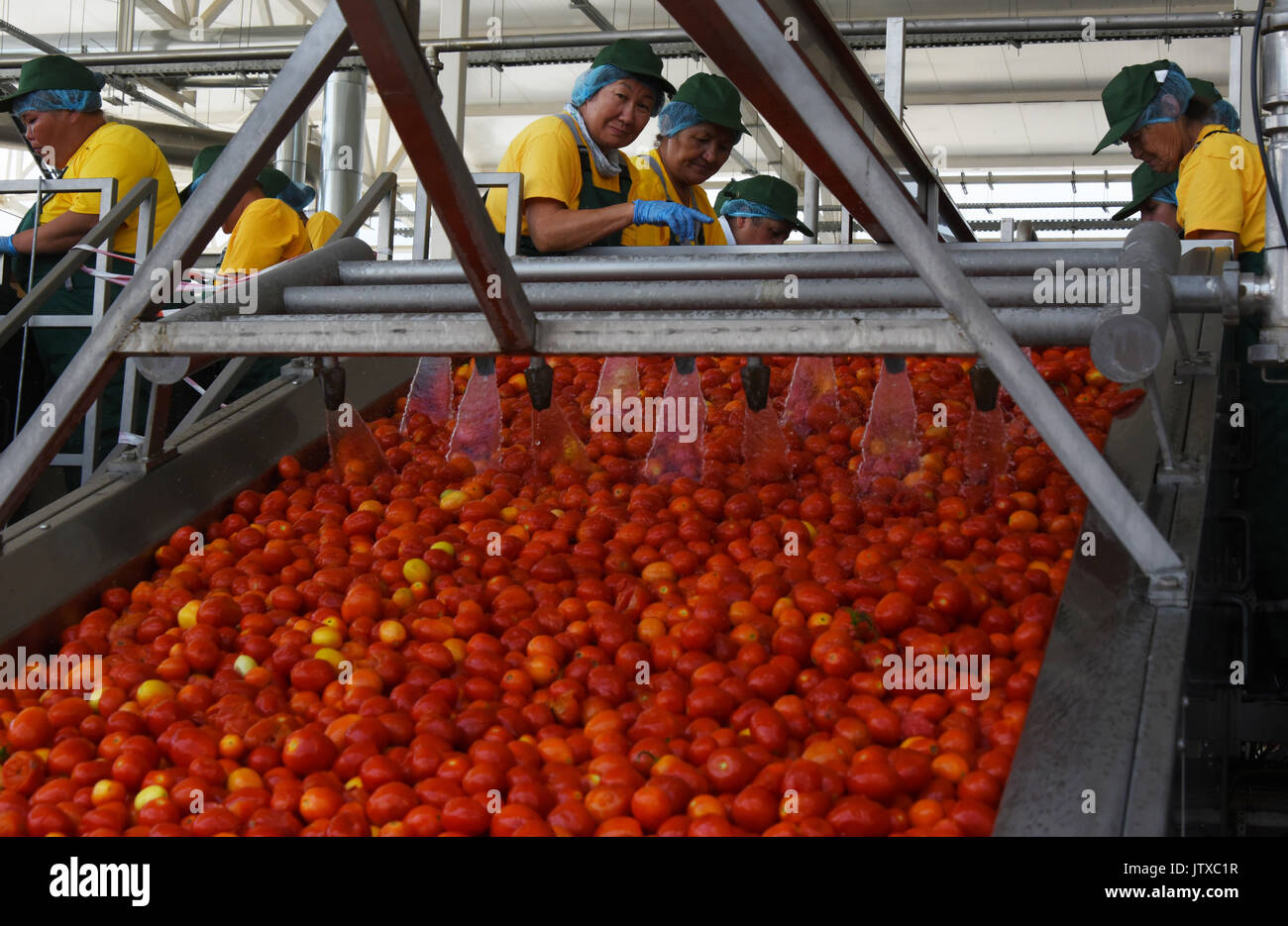 Tomatoes sauce factory hi-res stock photography and images - Alamy