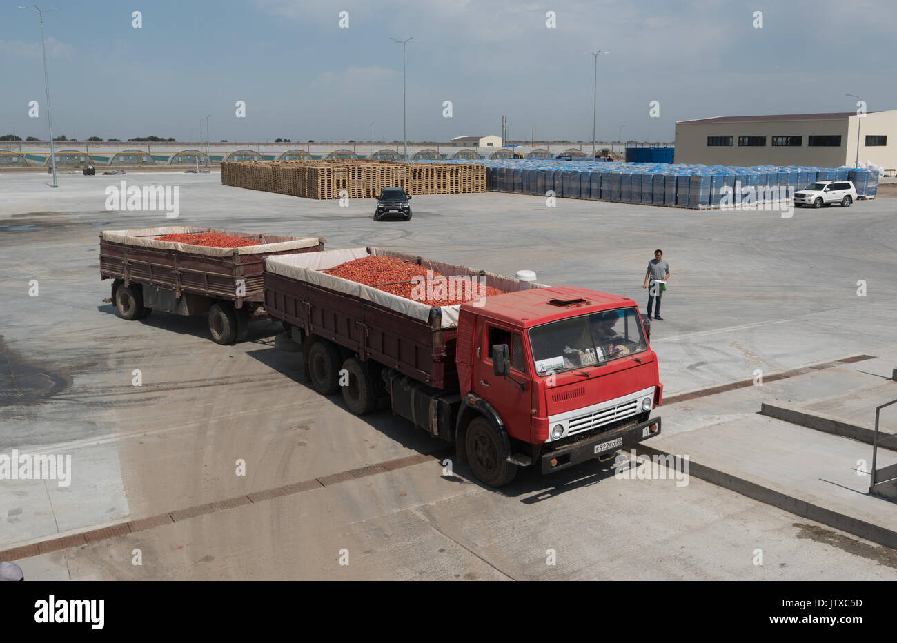 Tomato paste producing process at the tomato paste factory "APK ...