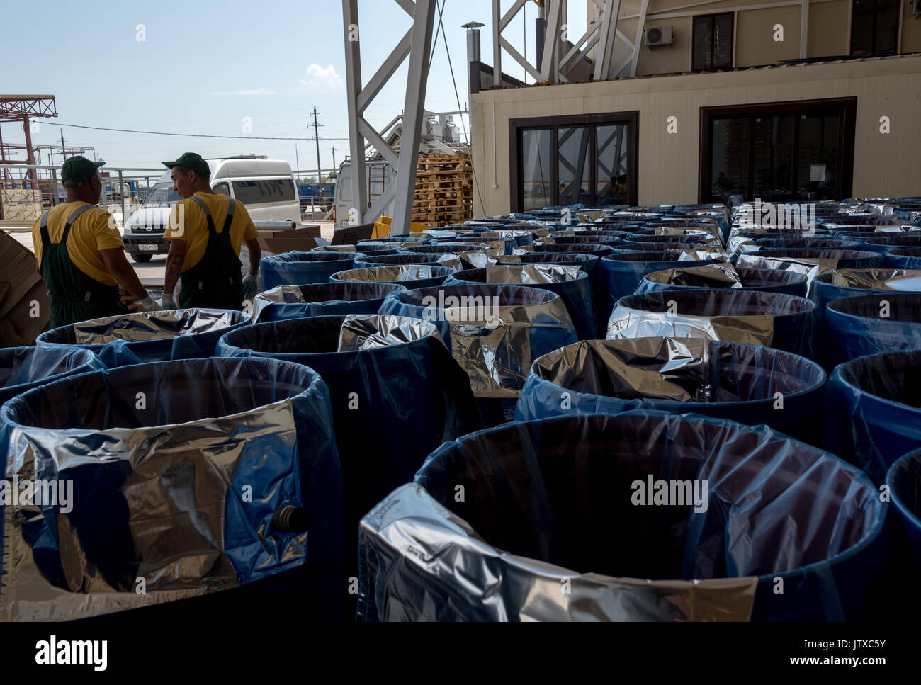 Tomato paste producing process at the tomato paste factory "APK ...