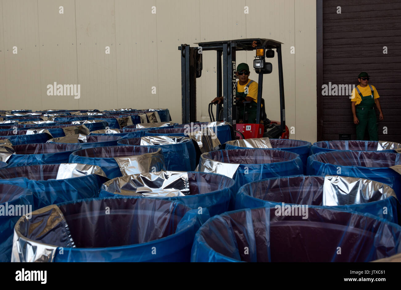 Tomato paste producing process at the tomato paste factory "APK ...