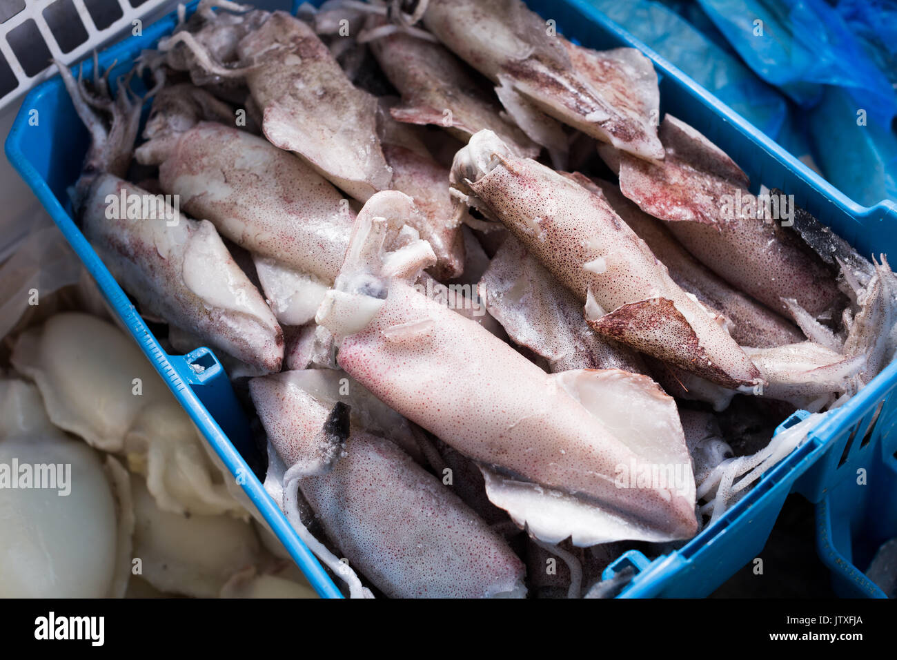 Fresh squids (calamari) in show-case at fish market Stock Photo - Alamy