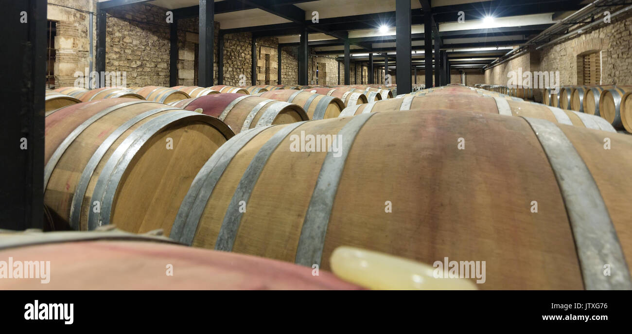 Many wooden barrels in wine cellar Stock Photo - Alamy