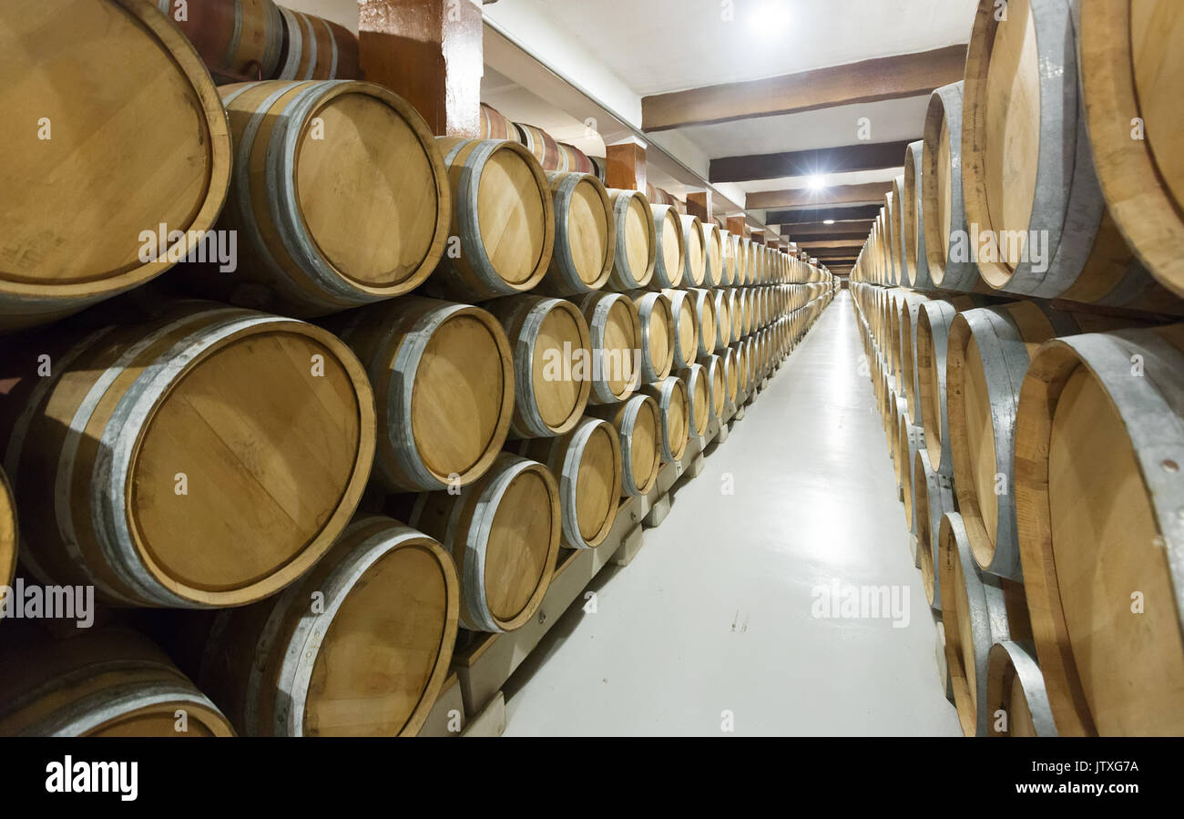 Interior photo of winery factory with many wooden barrels Stock Photo ...
