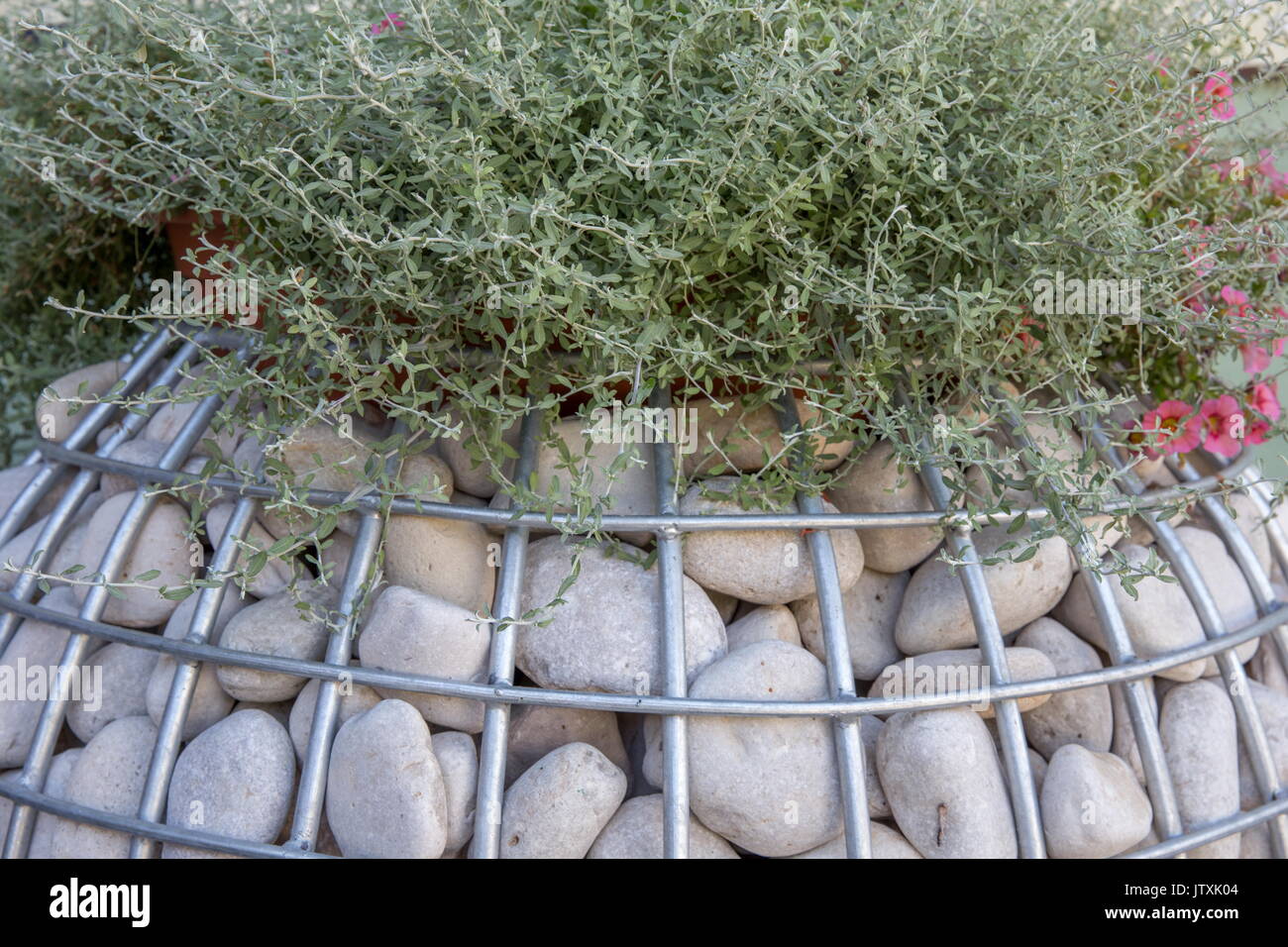 Gabion with a stone for planting ornamental plants close-up. The ...