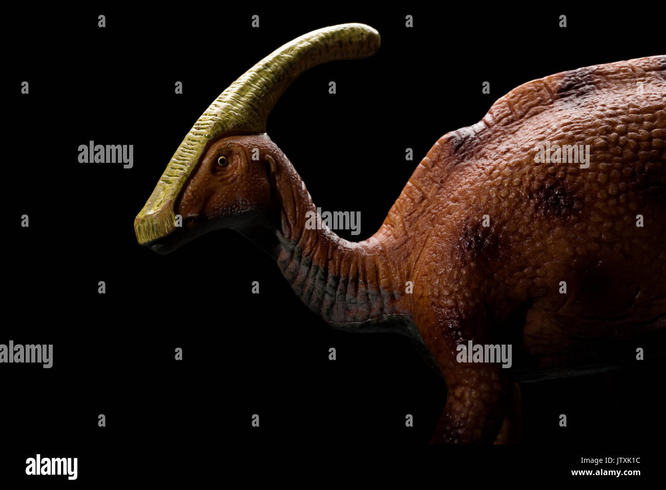 side view Parasaurolophus toy on a dark background Stock Photo - Alamy