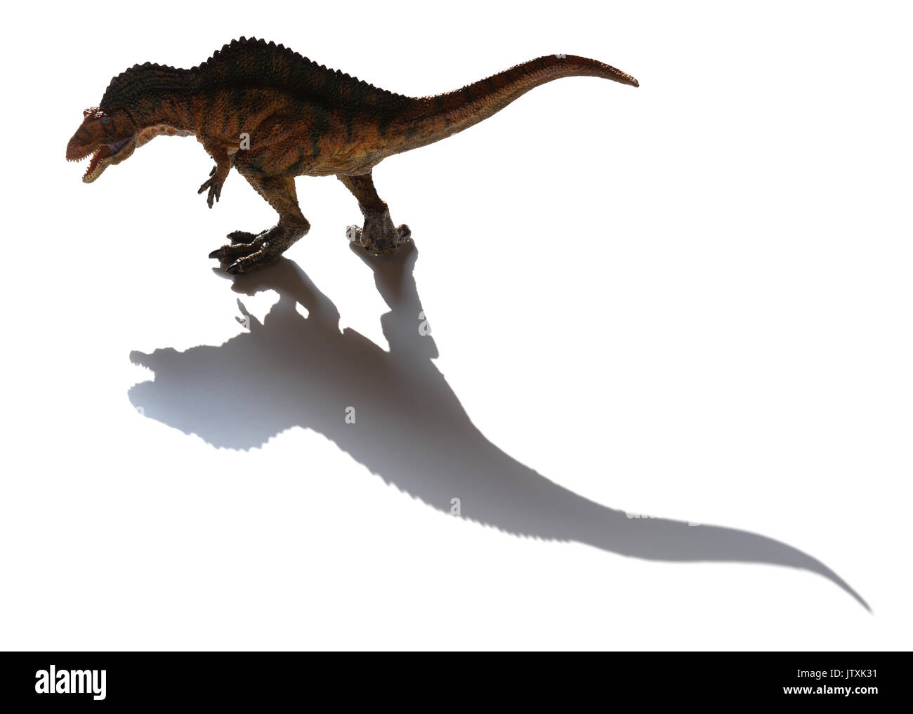 acrocanthosaurus toy with shadow on a white background Stock Photo - Alamy