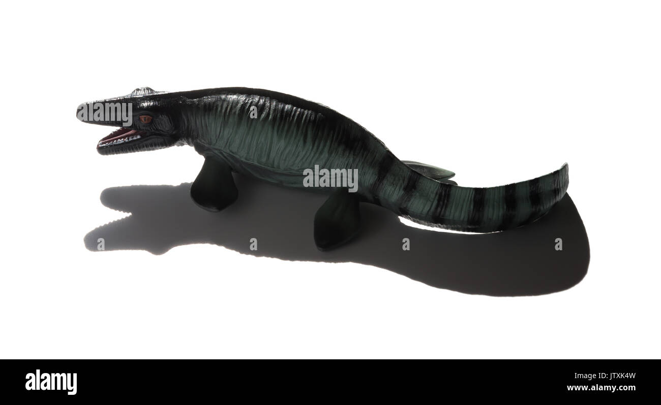 side view Mosasaurus toy with shadow on white background Stock Photo ...