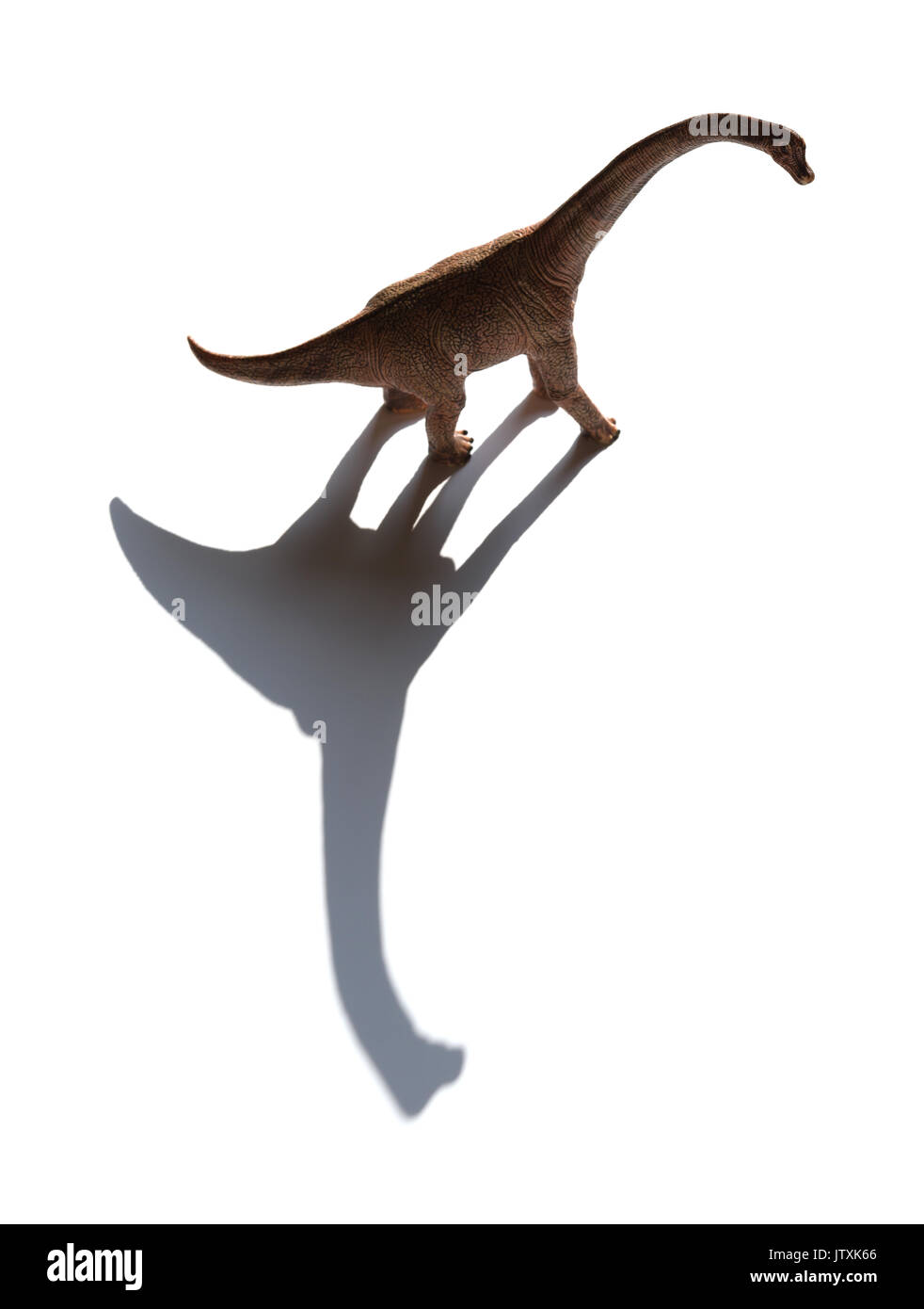 brachiosaurus toy with shadow on a white background Stock Photo - Alamy
