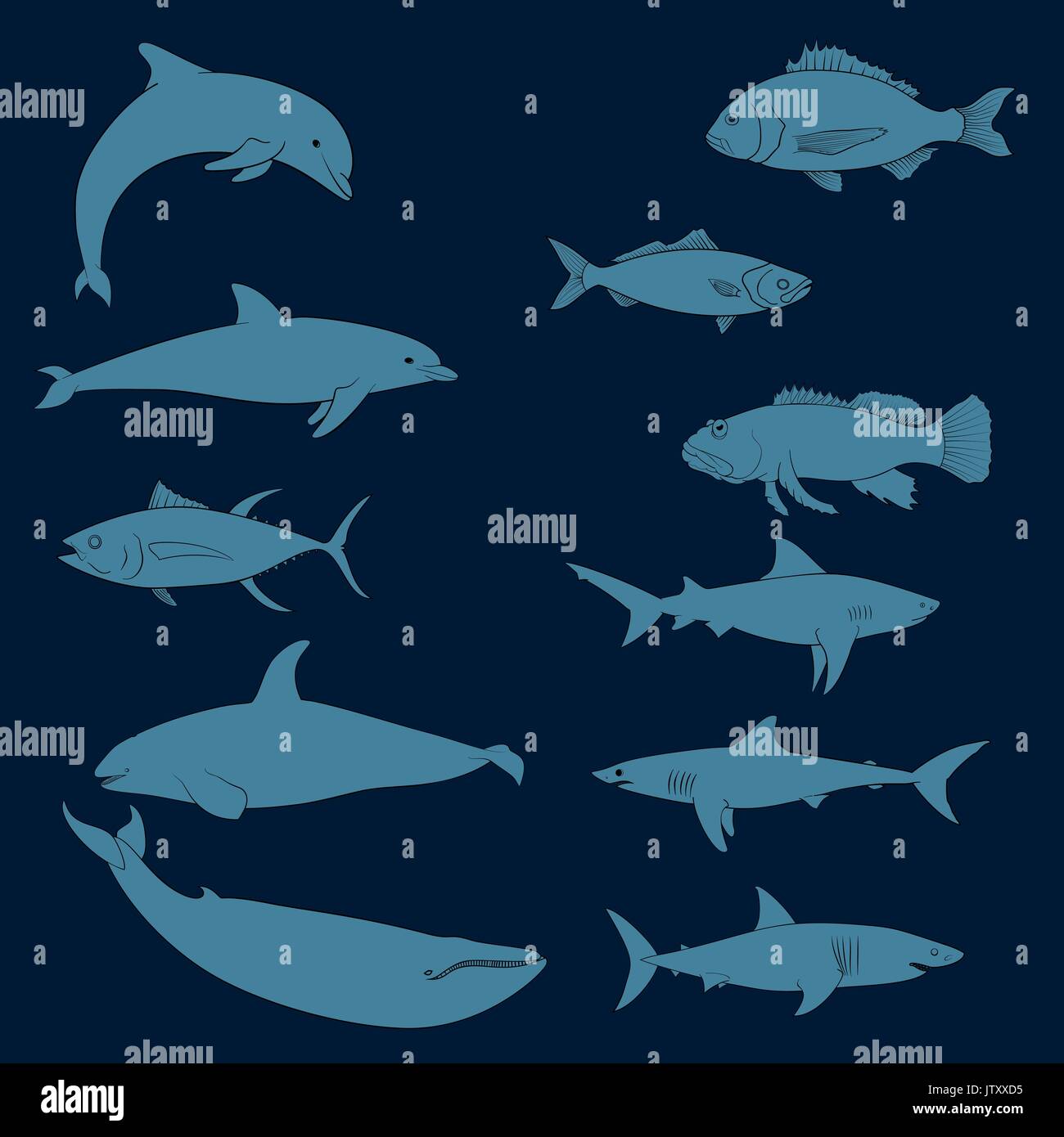 Isolated fish illustration trout hi-res stock photography and images ...