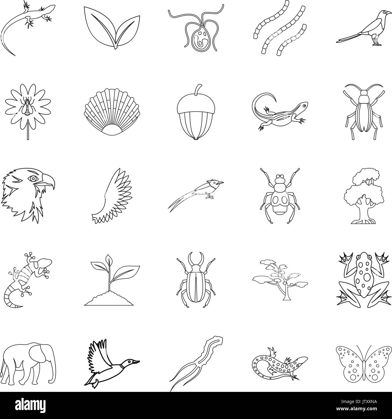 Avifauna forest Black and White Stock Photos & Images - Alamy