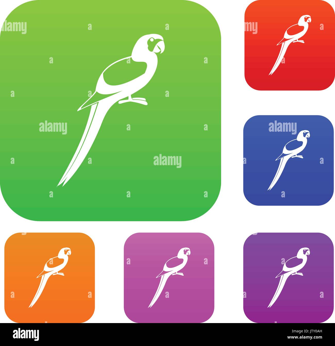 Parrot set collection Stock Vector Image & Art - Alamy