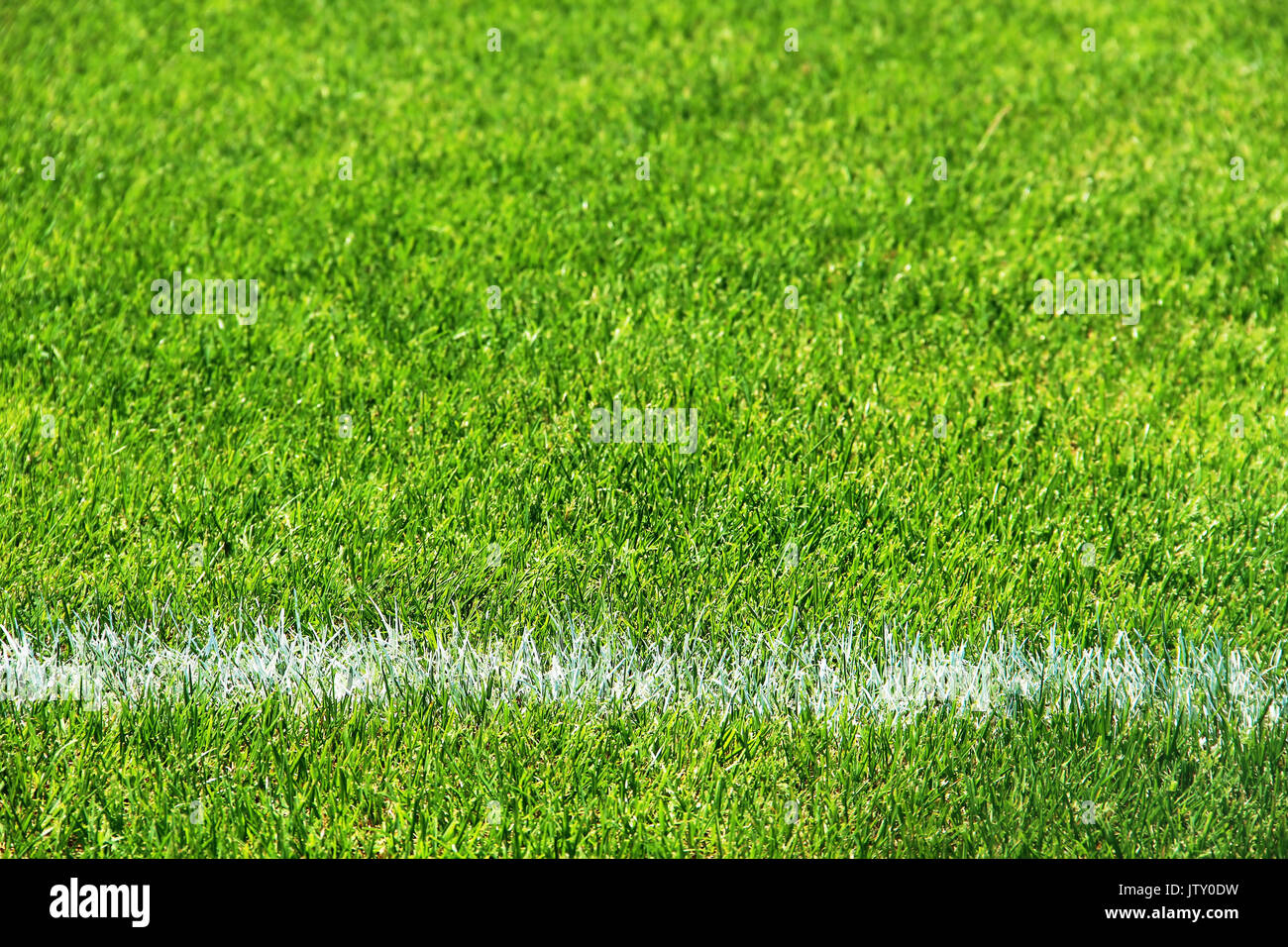White line on the green grass of a football field Stock Photo - Alamy