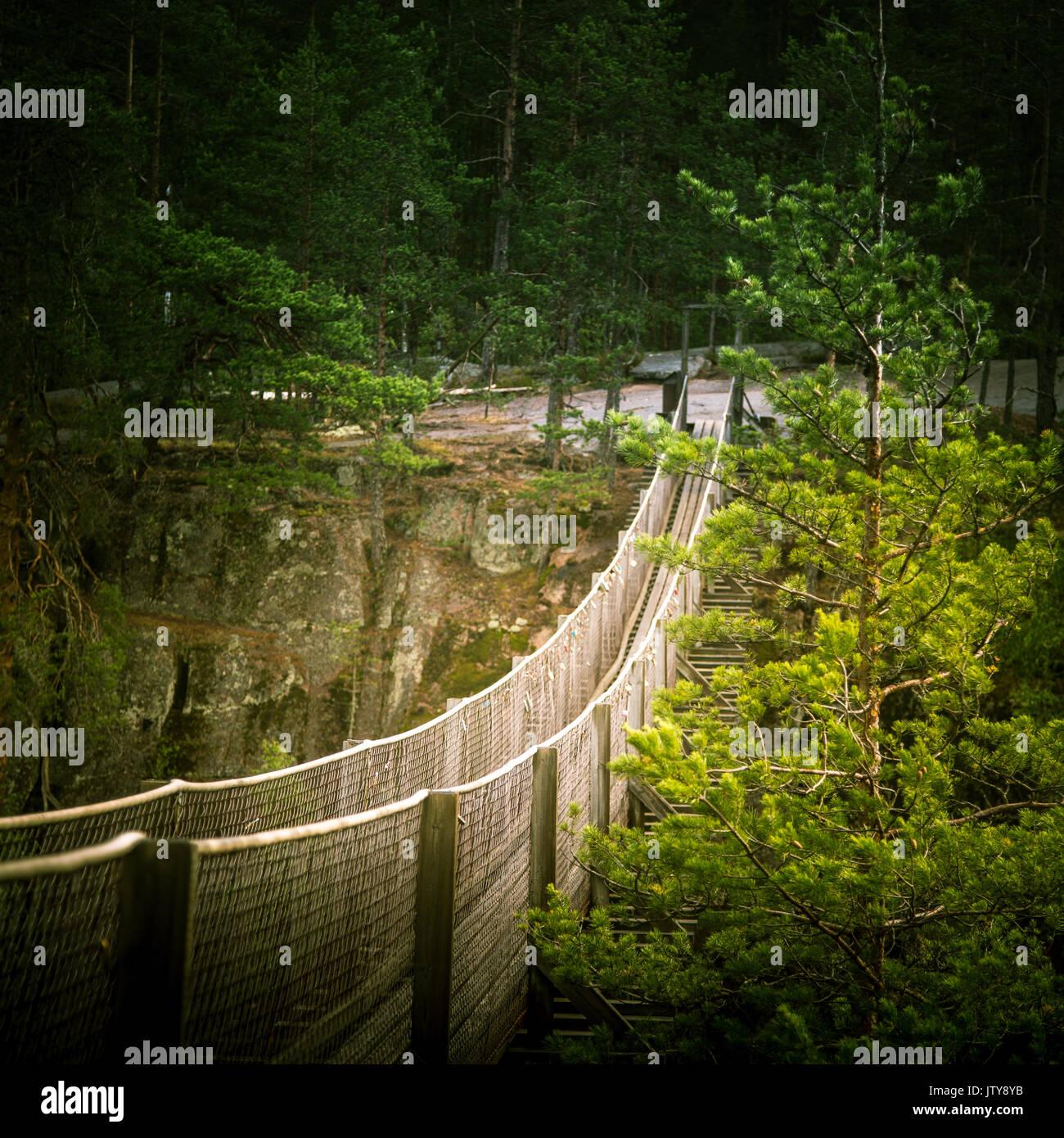 A beautiful hanging bridge in forest of Finland Stock Photo - Alamy