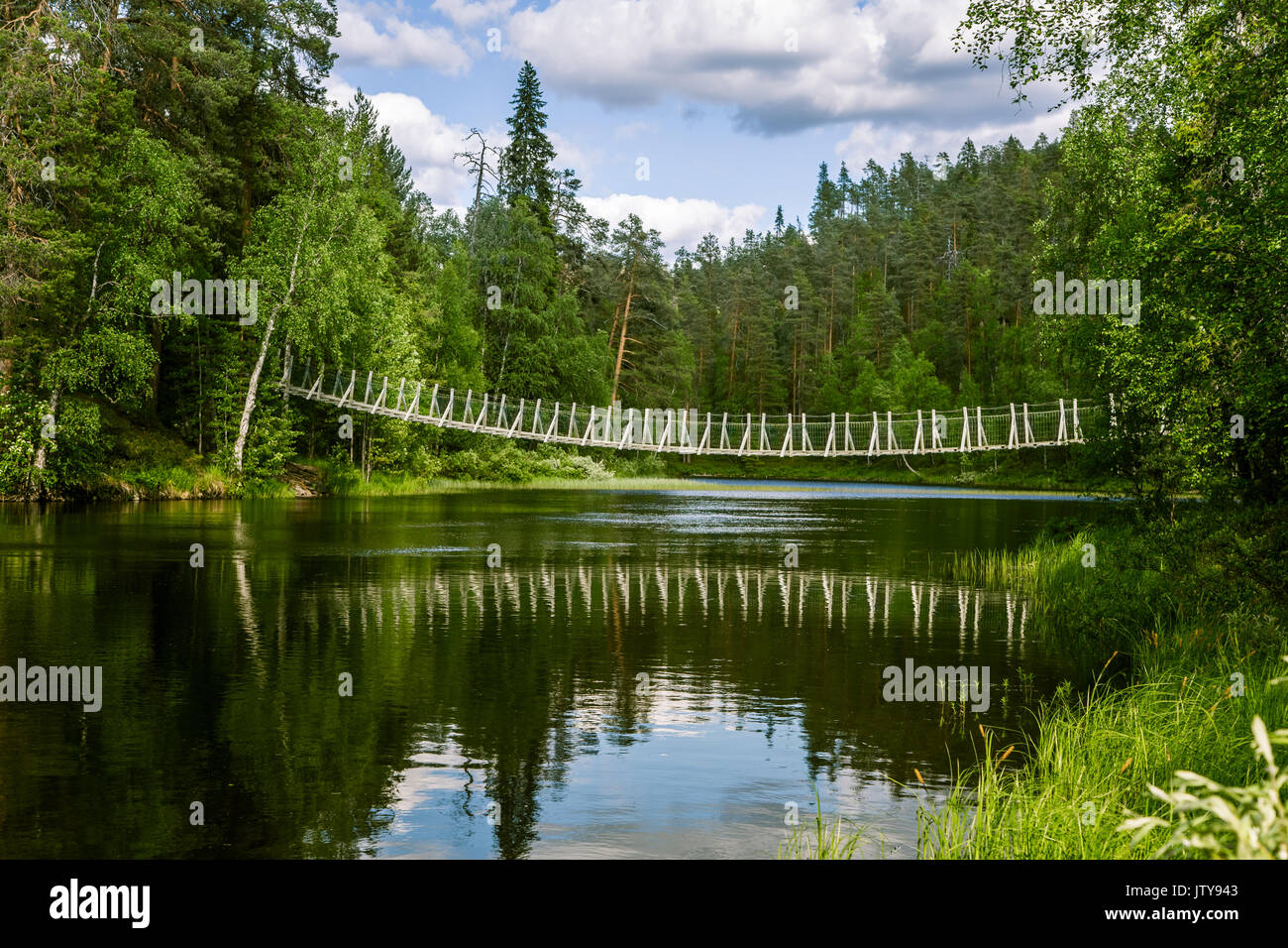 A beautiful hanging bridge in forest of Finland Stock Photo - Alamy