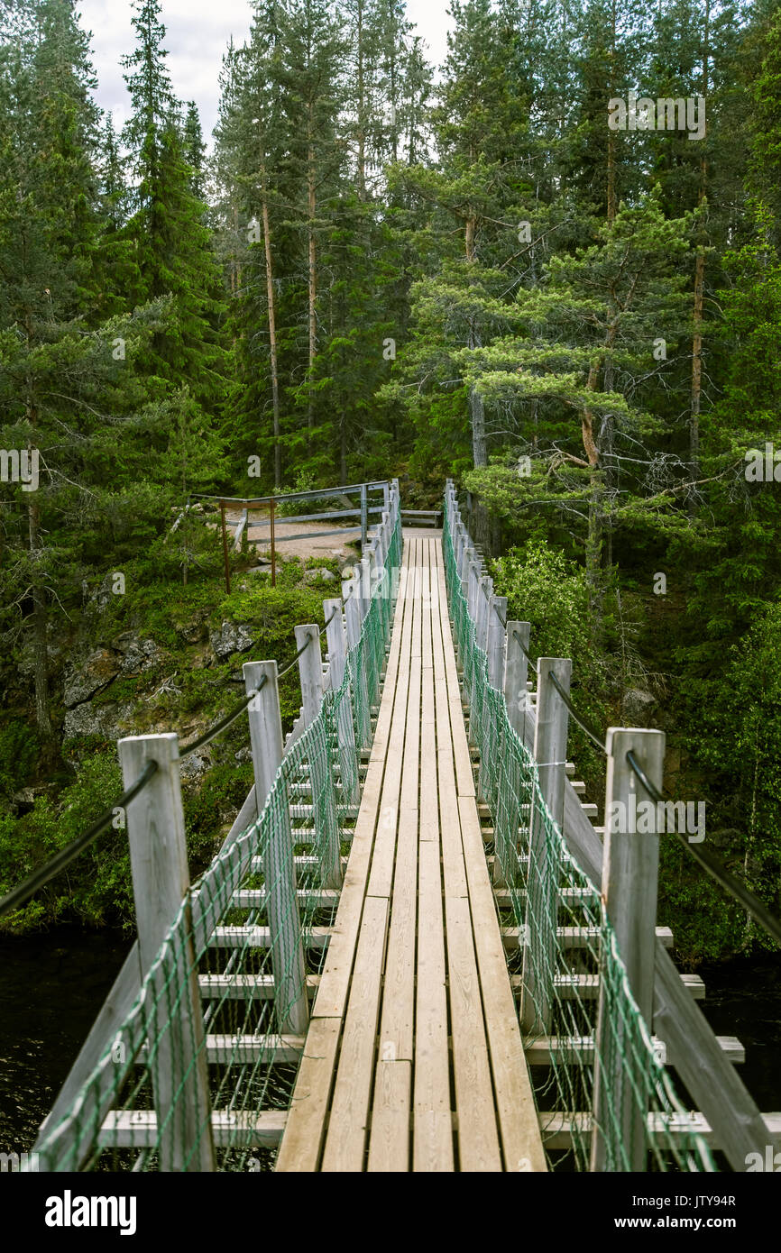 A beautiful hanging bridge in forest of Finland Stock Photo - Alamy