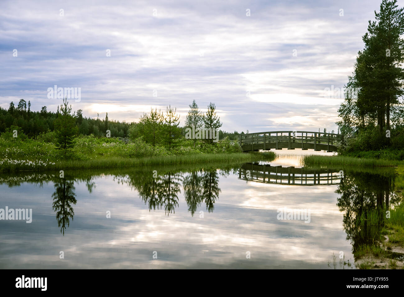 A beautiful hanging bridge in forest of Finland Stock Photo - Alamy