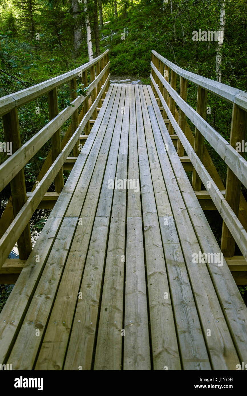 Bridge in forest hi-res stock photography and images - Alamy