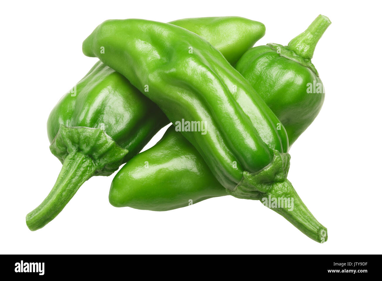 Chile peppers for pickling (True Greek peperoncini), ripe and unripe ...