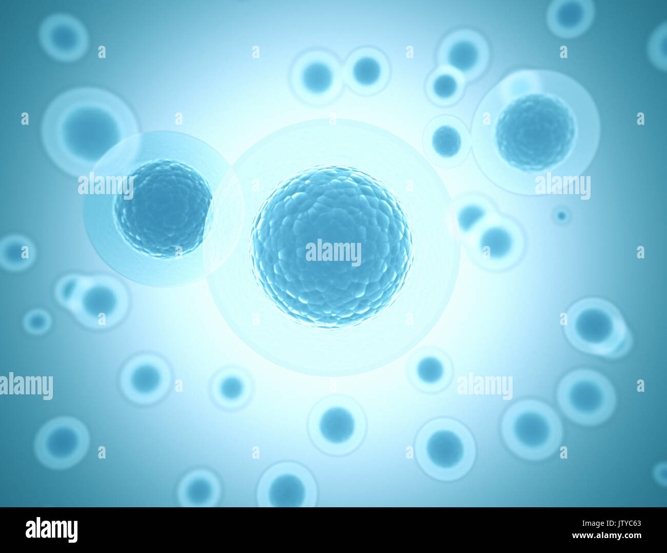 Cells mitosis microscope hi-res stock photography and images - Alamy