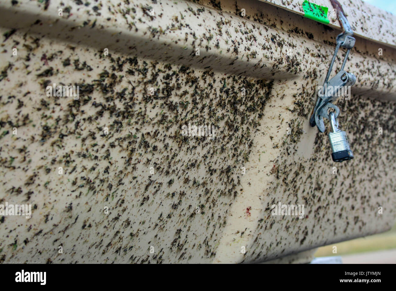 Dead flies on car hi-res stock photography and images - Alamy