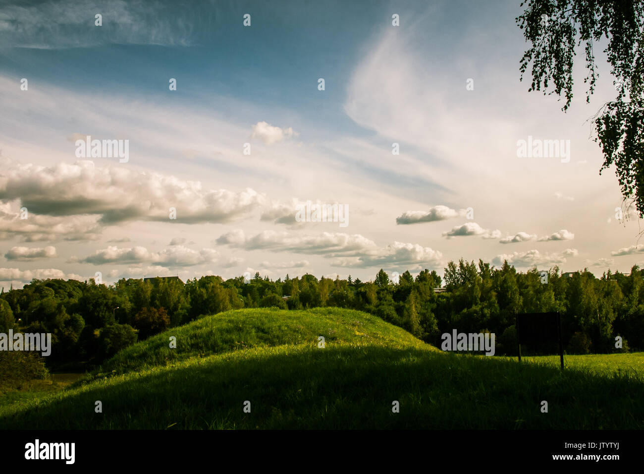 A beautiful Finnish forest landscape Stock Photo - Alamy