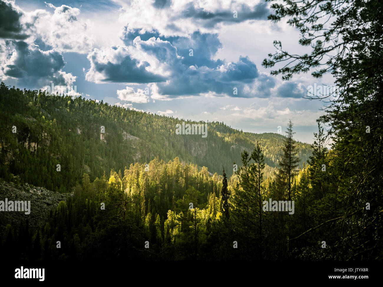 Finnish forest landscape hi-res stock photography and images - Alamy