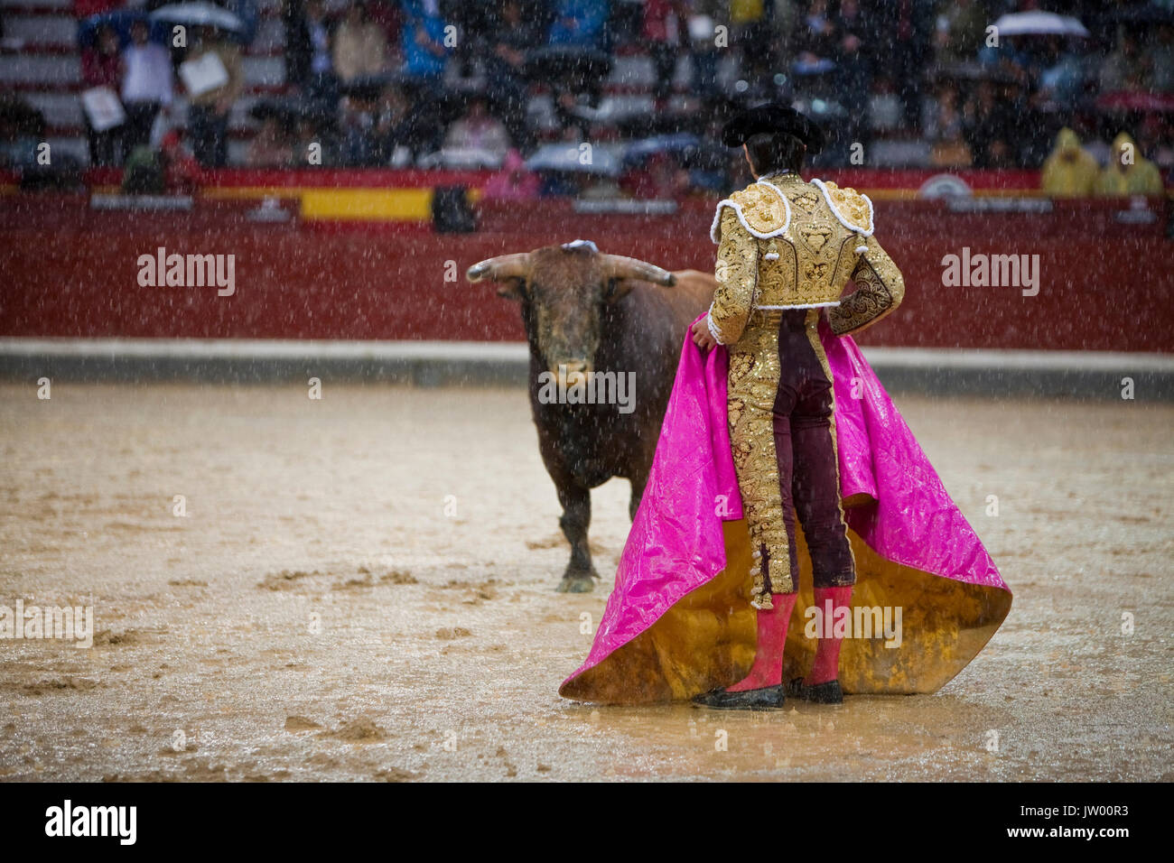 French bullfighting Sebastian Castella fighting in bullring of Jaen ...