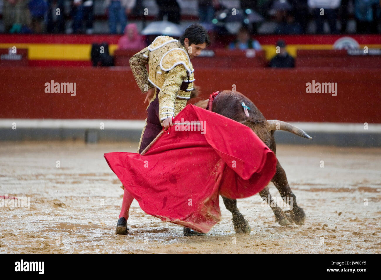 French bullfighting Sebastian Castella fighting in bullring of Jaen ...