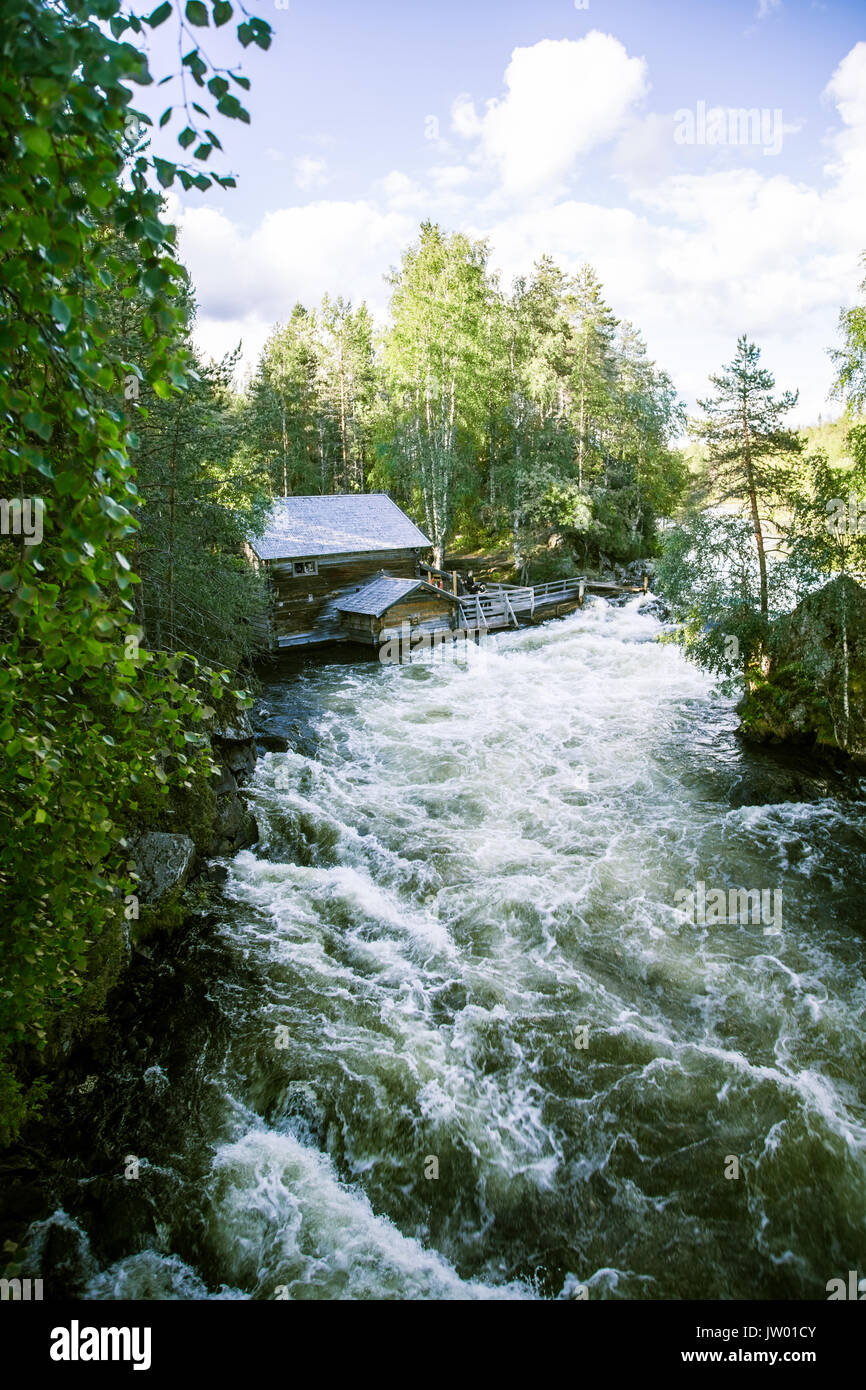 Beautiful River Rapids