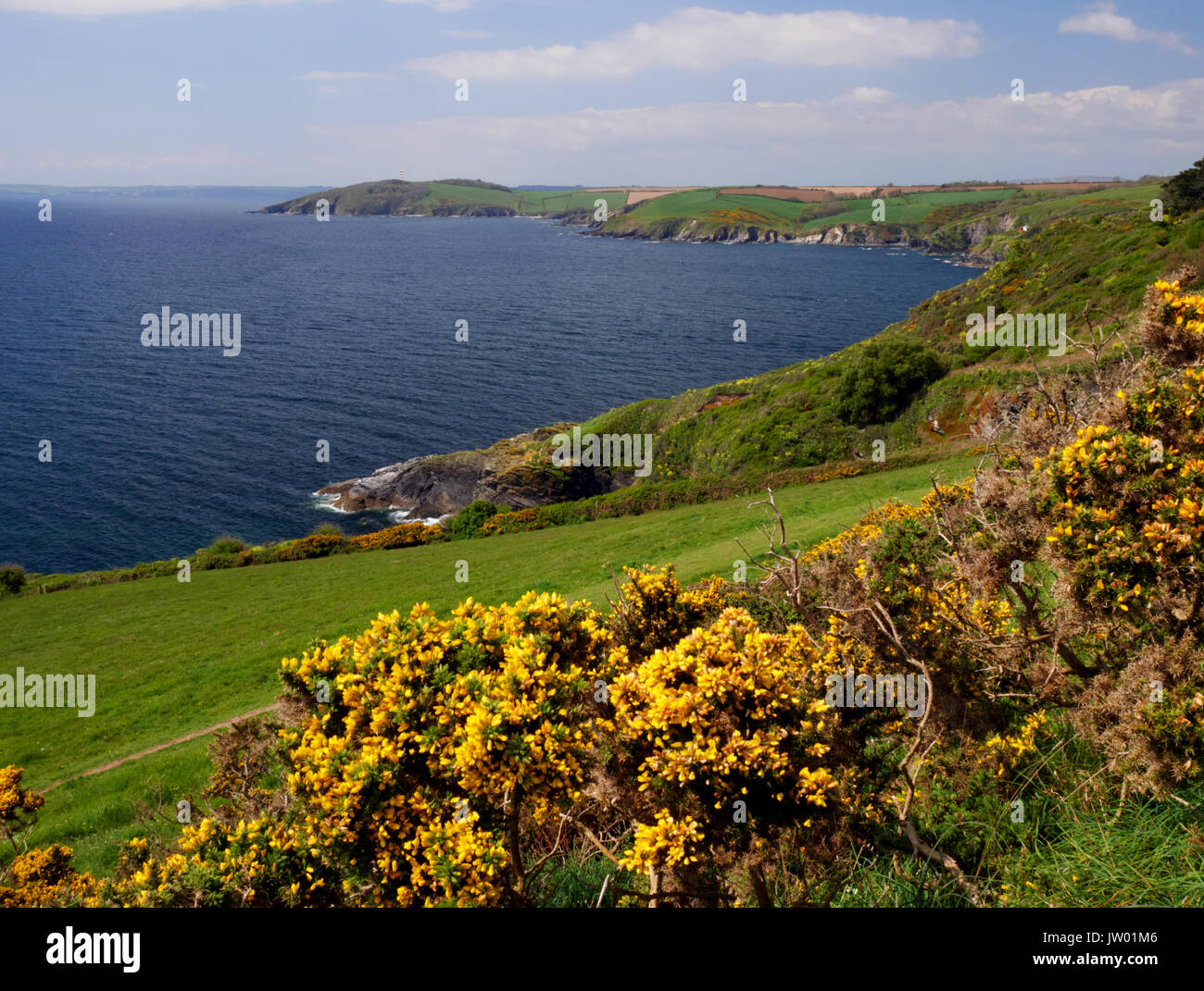 The coastal path between Lantivet Bay and Polruan in Cornwall, looking ...