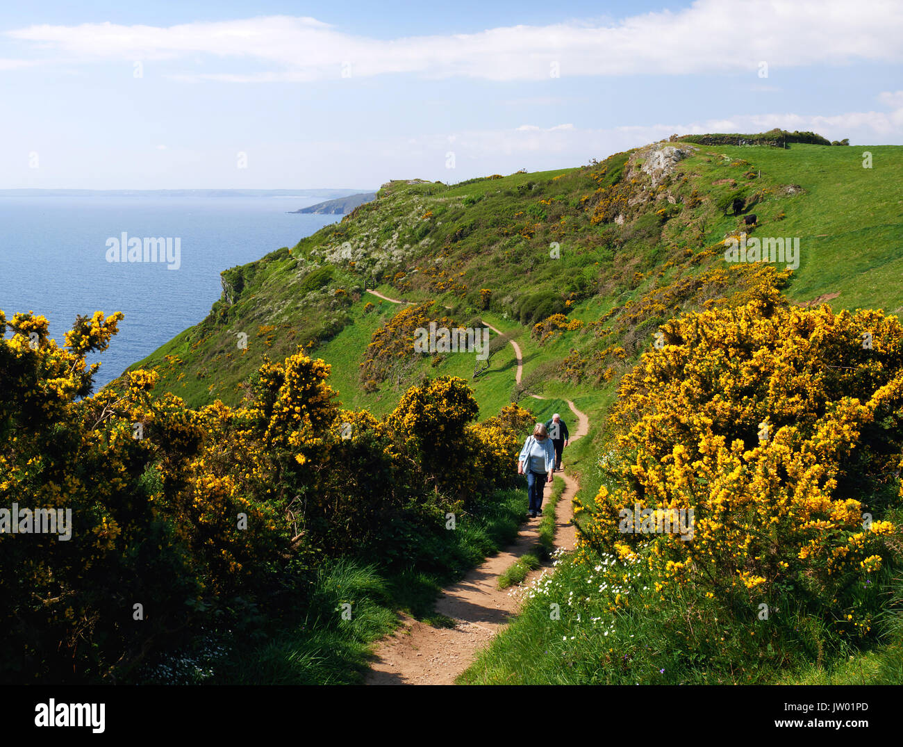 Walkers on the coast path at Lantic Bay between Polperro and Fowey in ...
