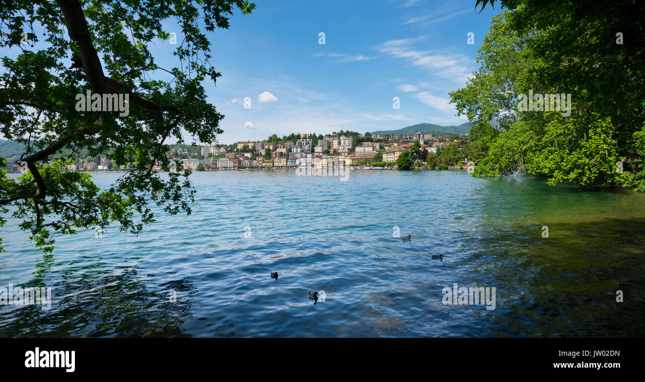 The Parco Ciani with its trees in the foreground and the houses of ...