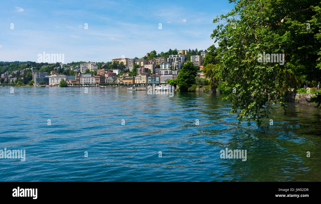 The Parco Ciani with its trees in the foreground and the houses of ...