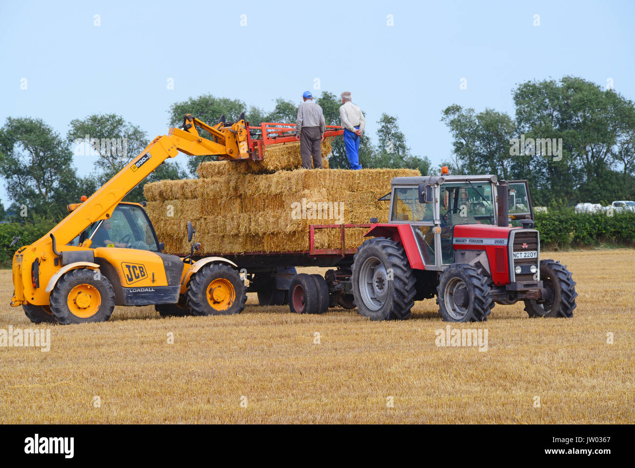 farmer loading straw bales onto trailer at harvest time ellerton ...