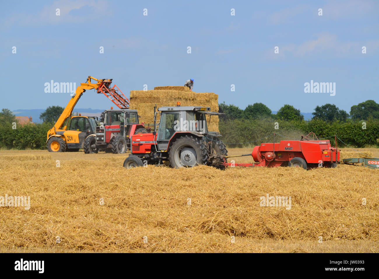 farmer loading straw bales onto trailer at harvest time ellerton ...