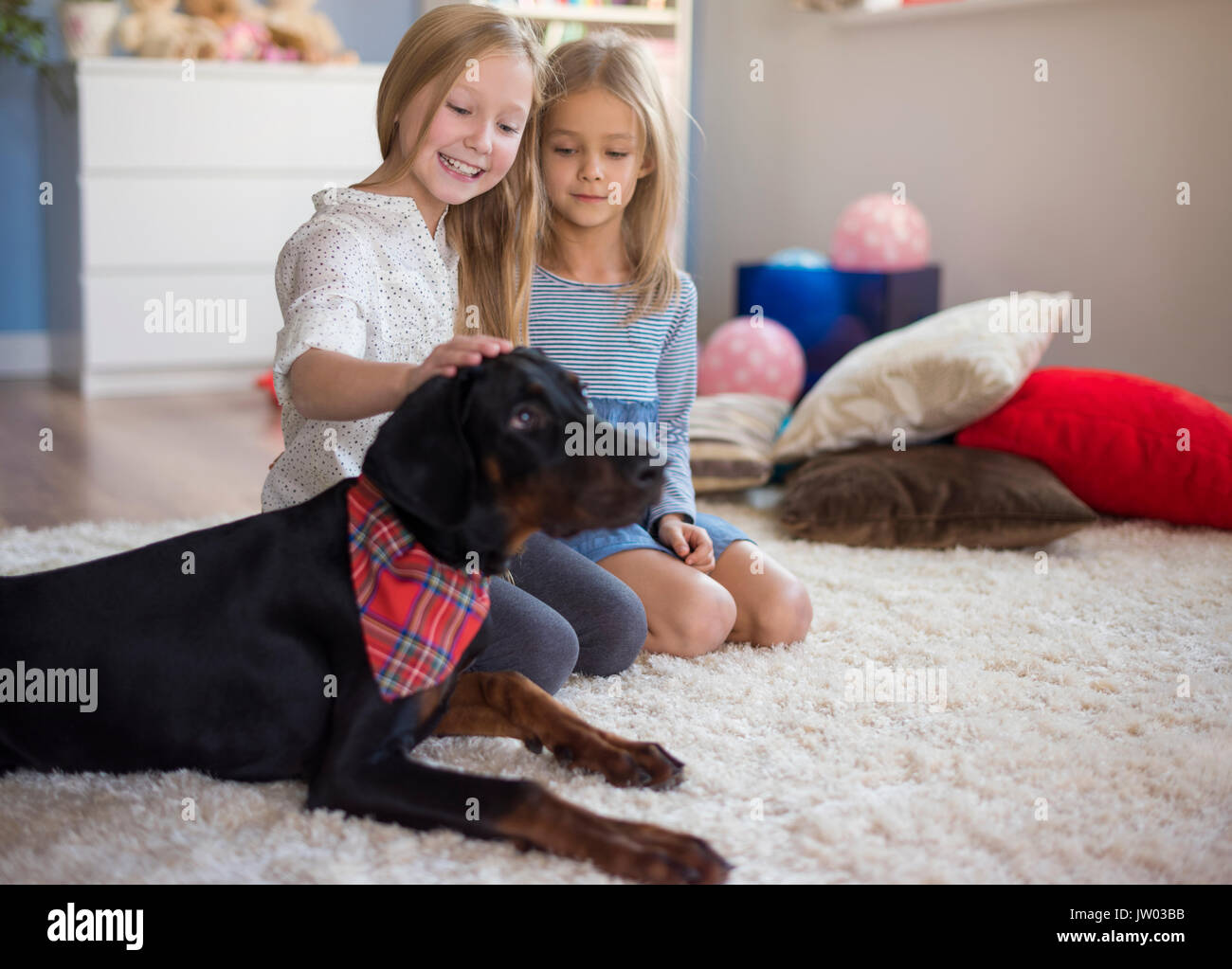 Are Dogs Like Children