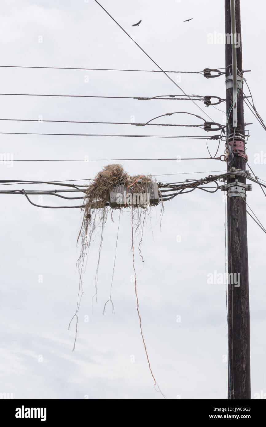 Danger power cables hi-res stock photography and images - Alamy