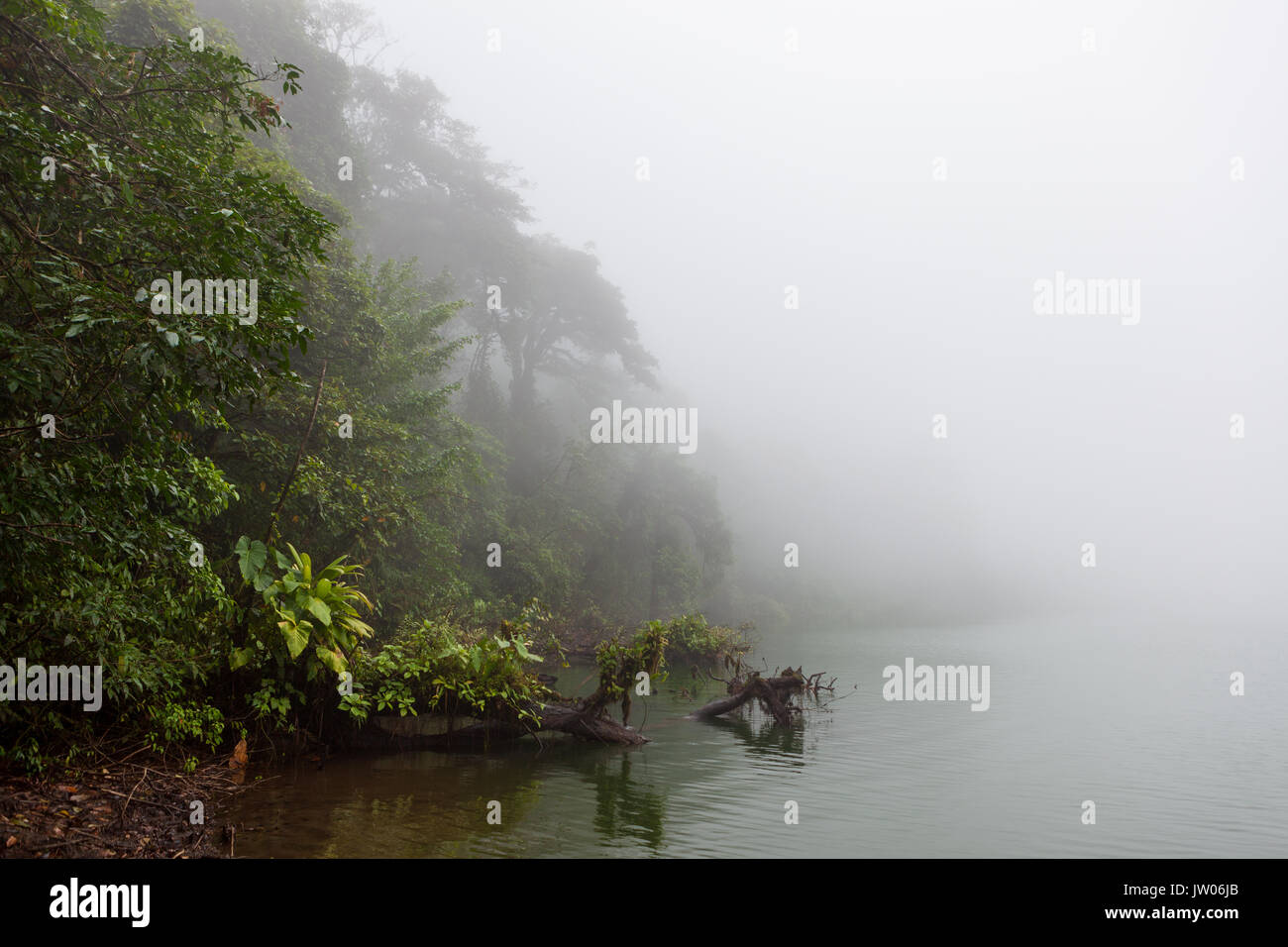 Forest at foggy volcano crater lake Stock Photo - Alamy