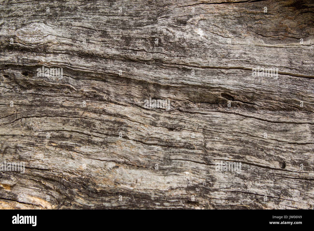 Old wood texture, Natural wood surface Stock Photo - Alamy