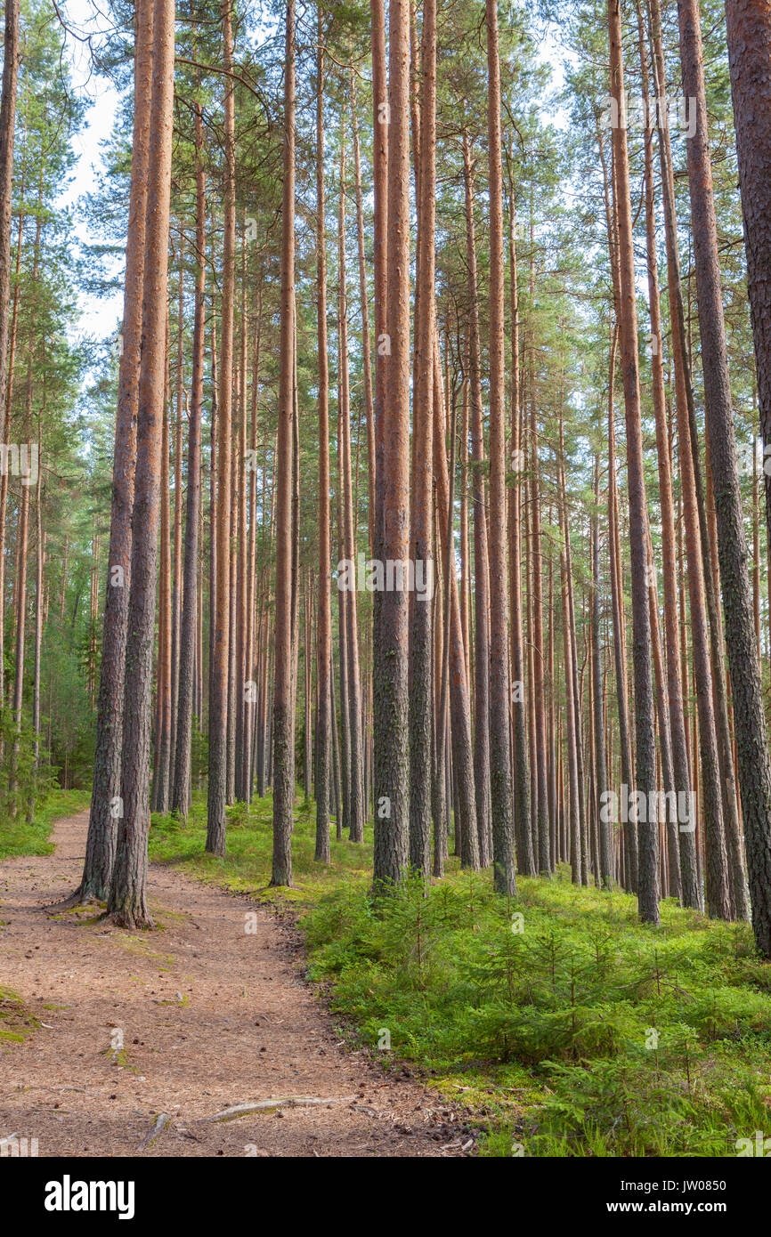 Wide path or pathway hi-res stock photography and images - Alamy