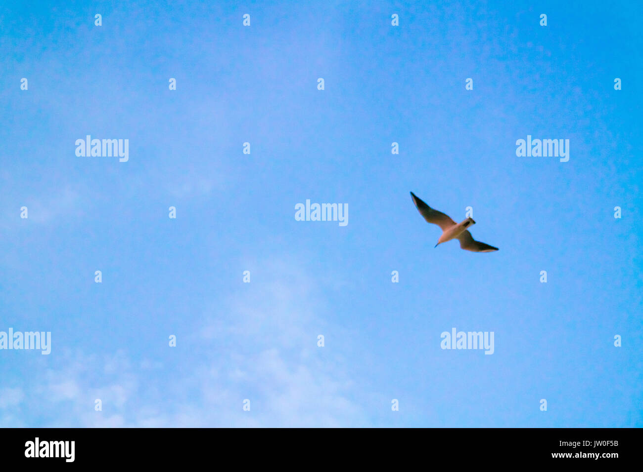 Beautiful blue seaside hi-res stock photography and images - Alamy