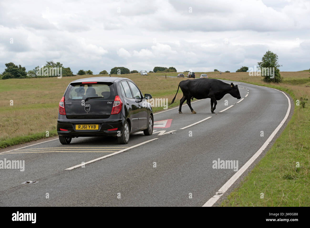 Animal road signs hi-res stock photography and images - Alamy