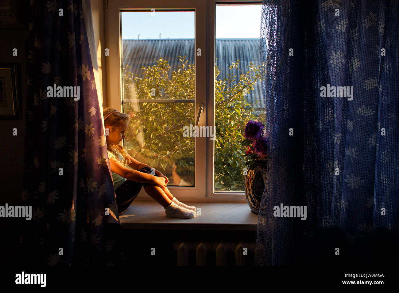 Looking Out A Window